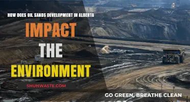 Nickel's Environmental Impact: Pollution, Ecosystems, And ...
