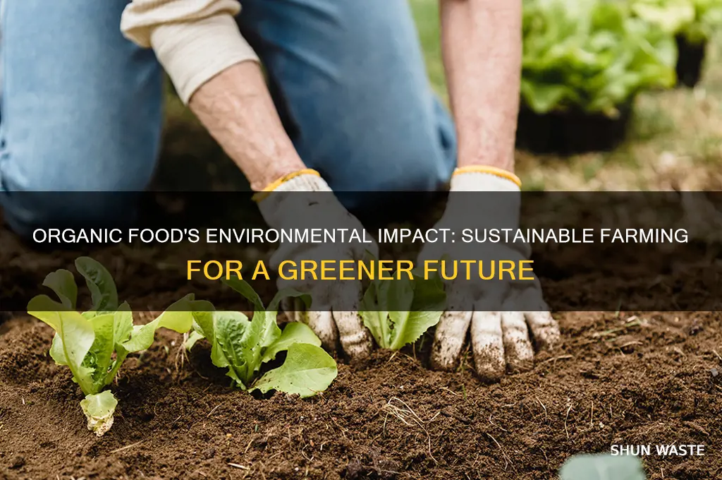 Organic Food's Environmental Impact: Sustainable Farming For A Greener ...