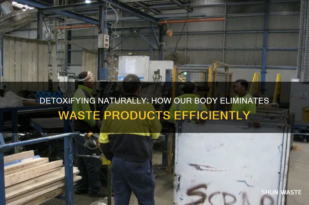 Detoxifying Naturally: How Our Body Eliminates Waste Products ...