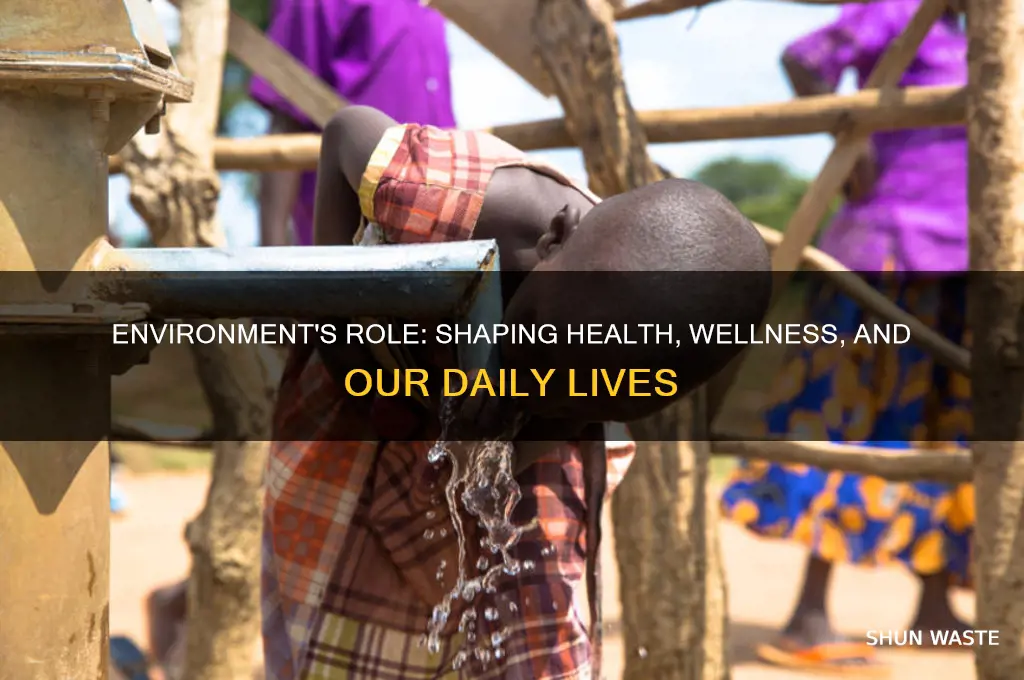 Environment's Role: Shaping Health, Wellness, And Our Daily Lives ...
