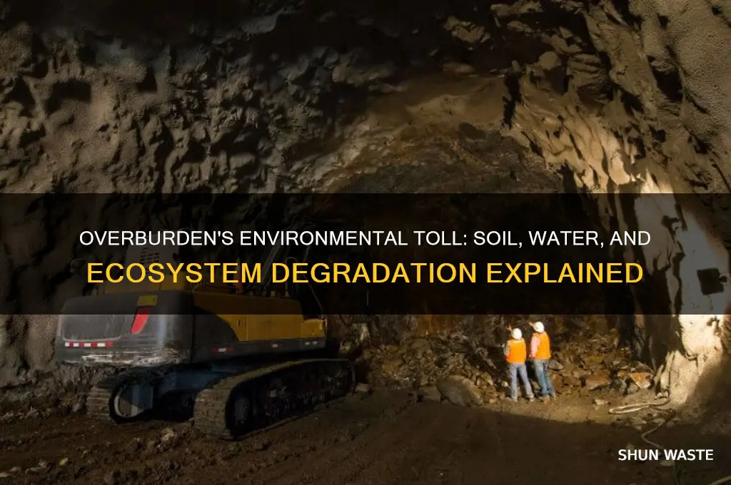 Overburden's Environmental Toll: Soil, Water, And Ecosystem Degradation ...