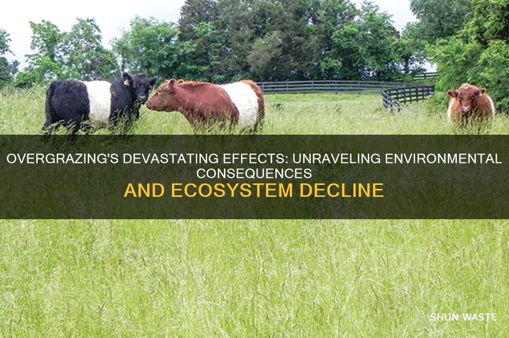 Overgrazing's Devastating Effects: Unraveling Environmental ...