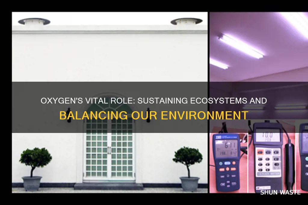 Oxygen's Vital Role: Sustaining Ecosystems And Balancing Our ...