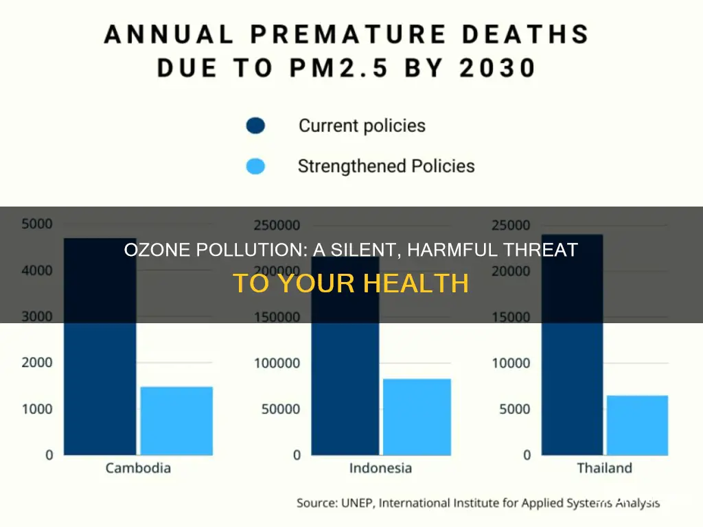 Ozone Pollution: A Silent, Harmful Threat To Your Health | ShunWaste