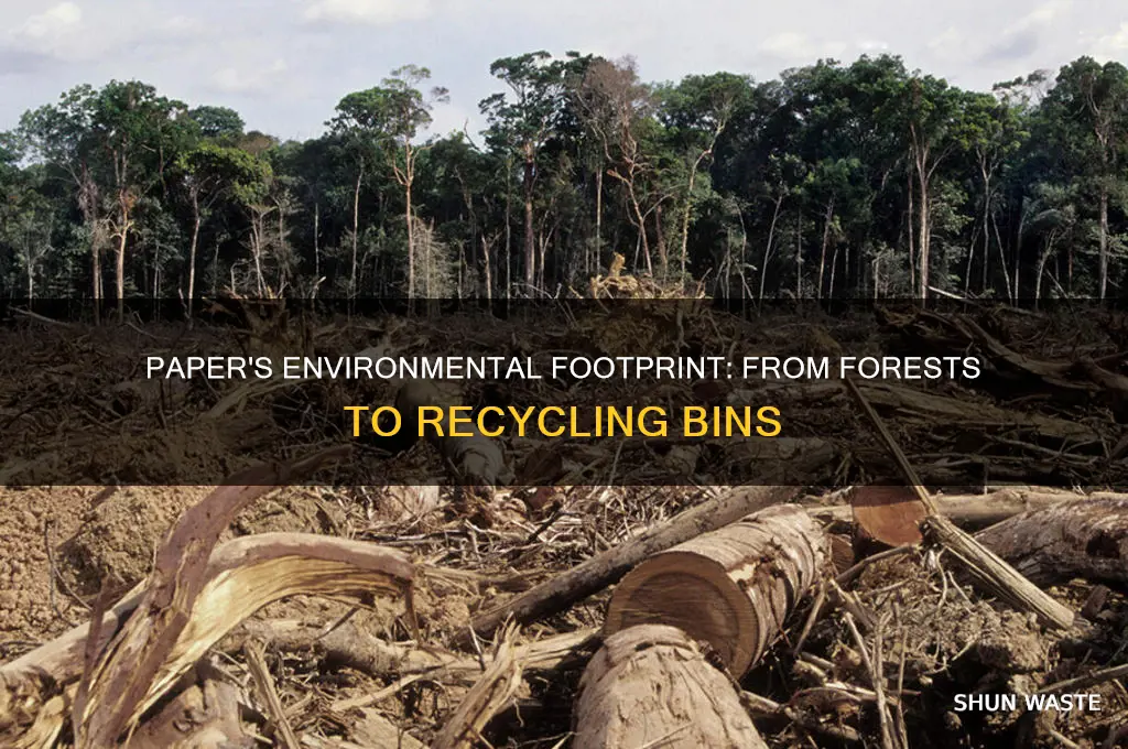 Paper's Environmental Footprint: From Forests To Recycling Bins | ShunWaste