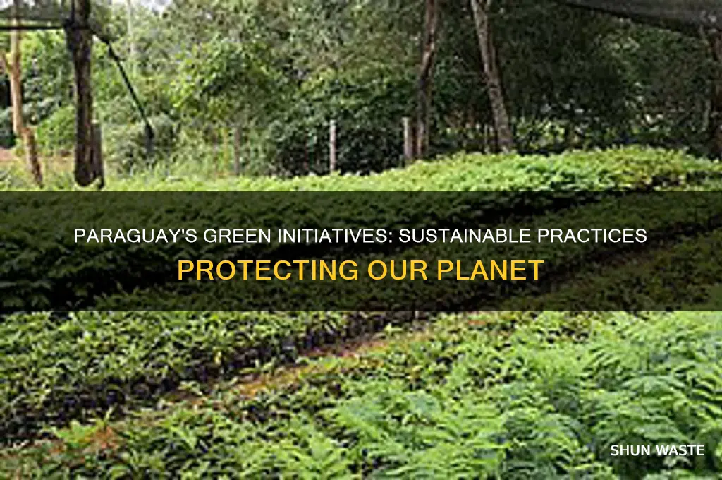 Paraguay's Green Initiatives: Sustainable Practices Protecting Our ...