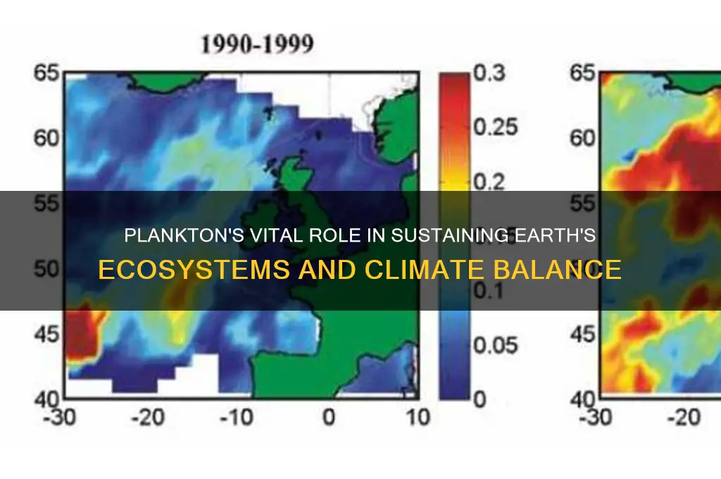 Plankton's Vital Role In Sustaining Earth's Ecosystems And Climate ...