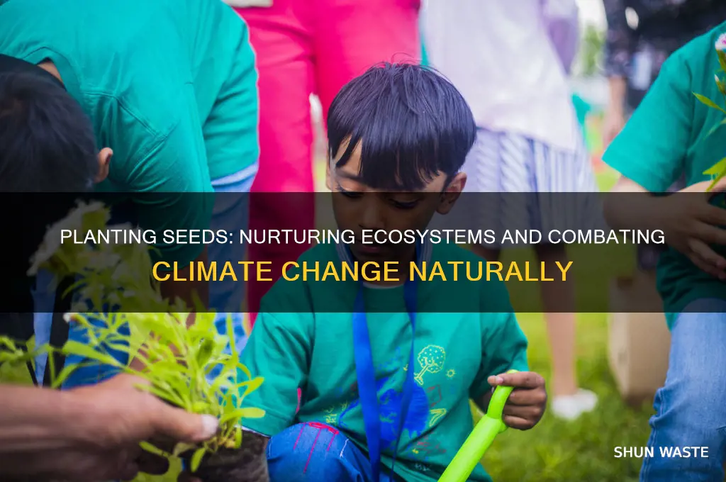 Planting Seeds: Nurturing Ecosystems And Combating Climate Change ...