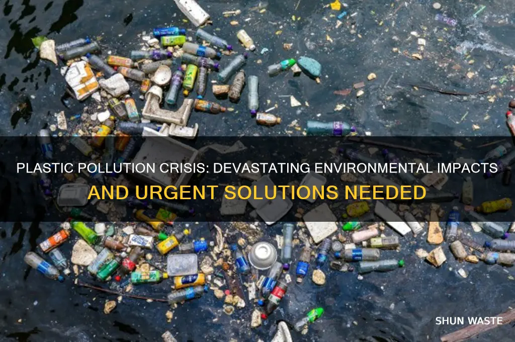 Plastic Pollution Crisis: Devastating Environmental Impacts And Urgent ...
