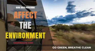 Littering's Devastating Impact: How Trash Destroys Ecosystems And ...