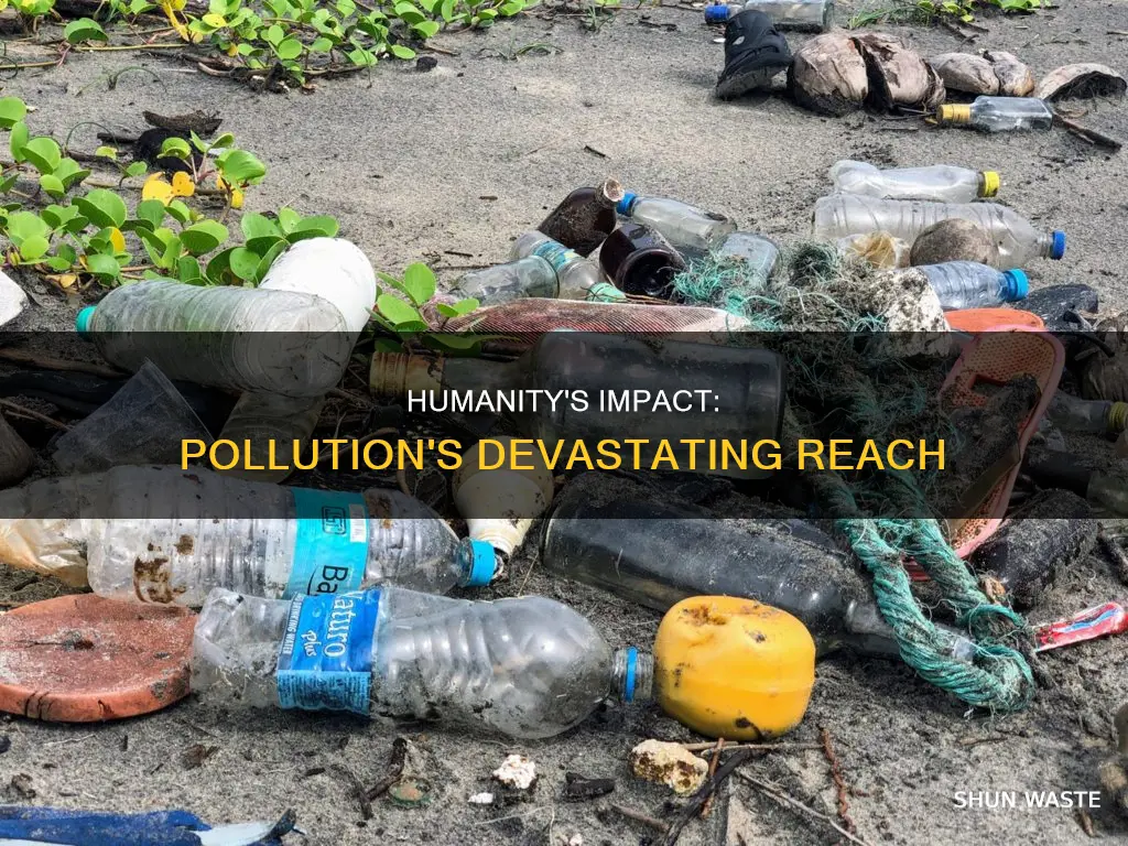 Humanity's Impact: Pollution's Devastating Reach | ShunWaste