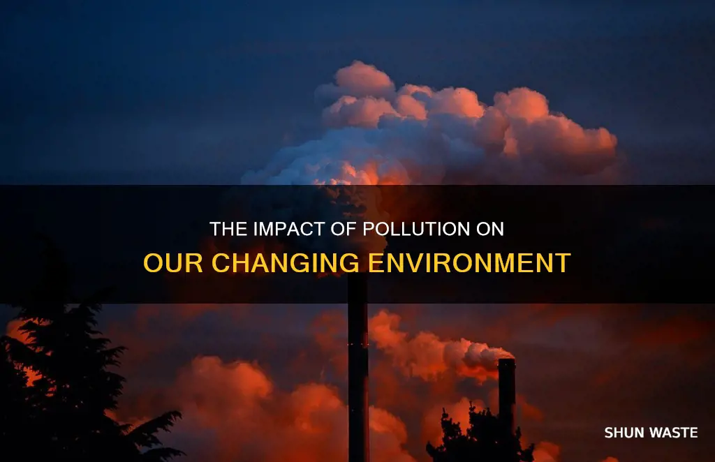 The Impact Of Pollution On Our Changing Environment | ShunWaste