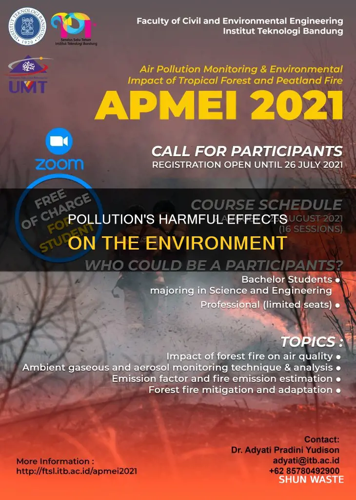Pollution's Harmful Effects On The Environment | ShunWaste