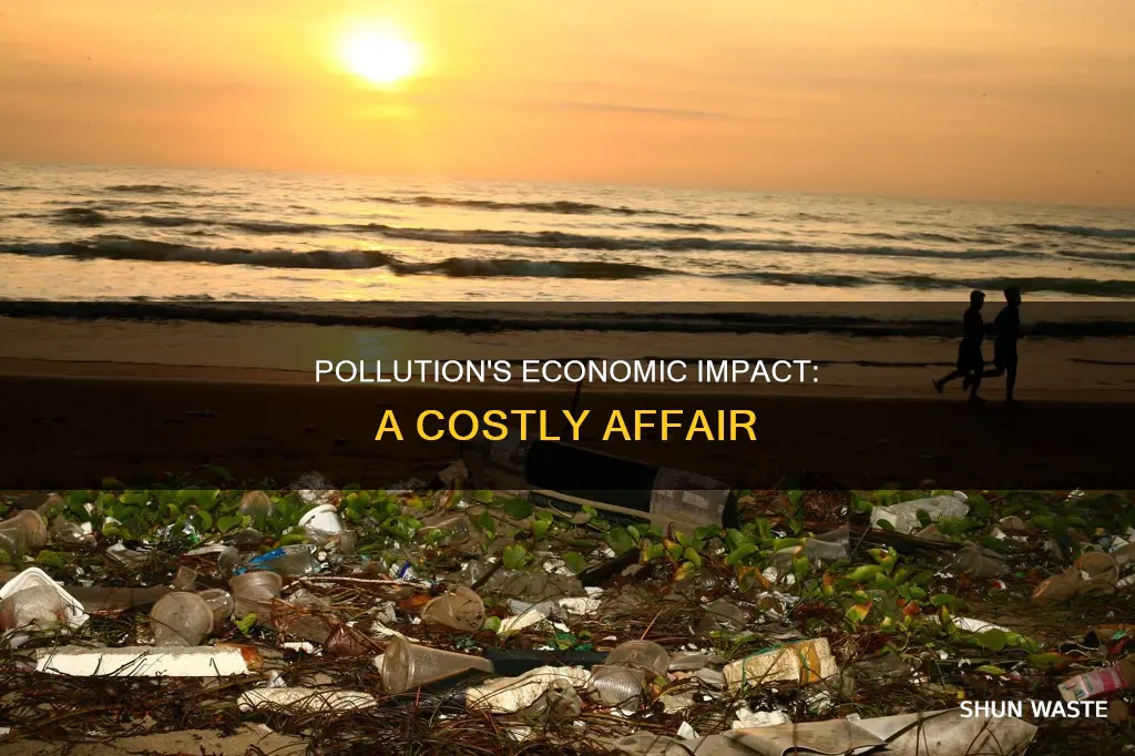Pollution's Economic Impact: A Costly Affair | ShunWaste