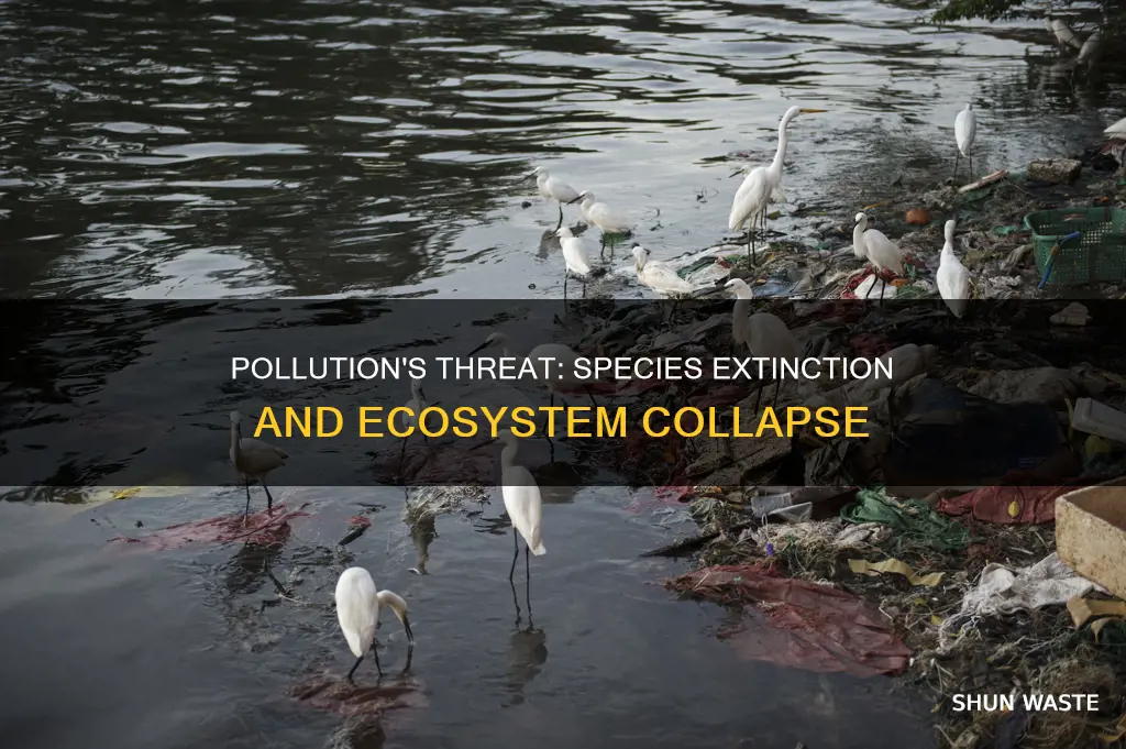 Pollution's Threat: Species Extinction And Ecosystem Collapse | ShunWaste