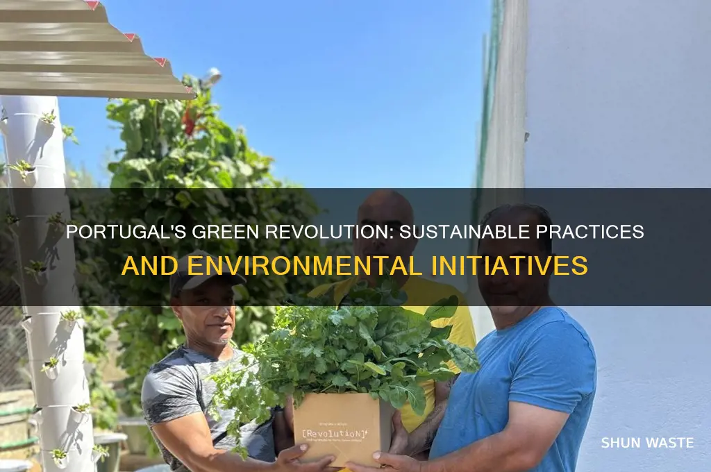 Portugal's Green Revolution: Sustainable Practices And Environmental ...