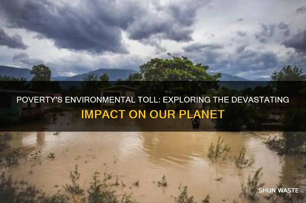 Poverty's Environmental Toll: Exploring The Devastating Impact On Our ...