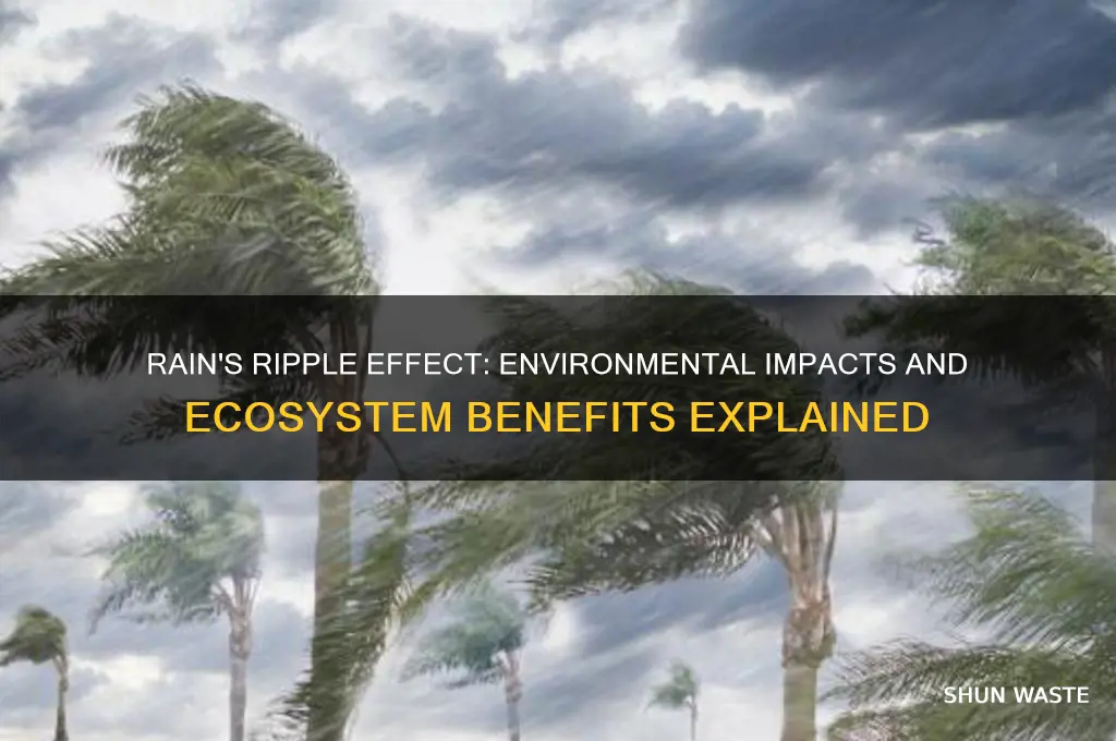 Rain's Ripple Effect: Environmental Impacts And Ecosystem Benefits ...