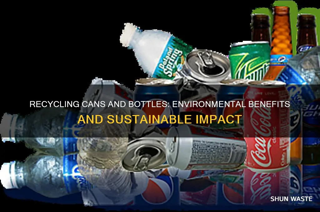 Recycling Cans And Bottles: Environmental Benefits And Sustainable ...
