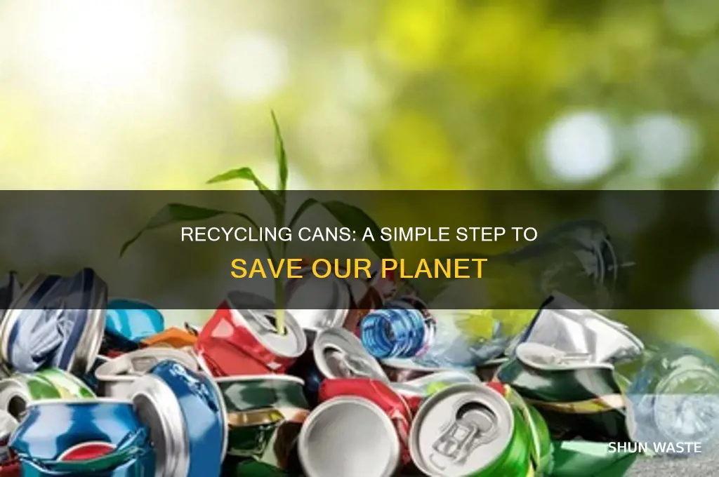Recycling Cans: A Simple Step To Save Our Planet | ShunWaste