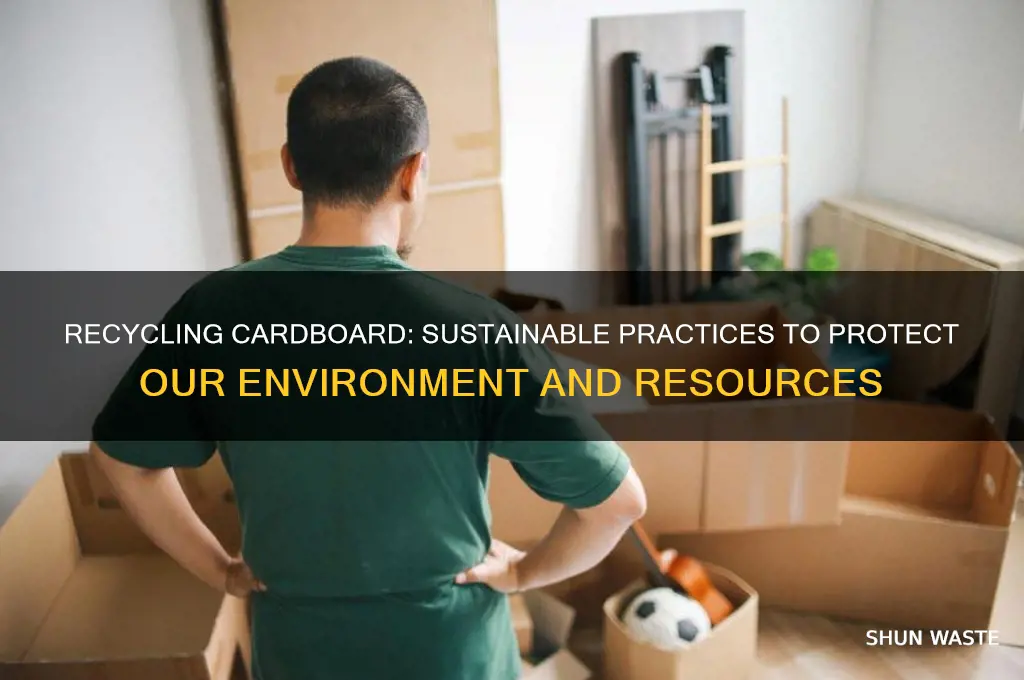 Recycling Cardboard: Sustainable Practices To Protect Our Environment ...