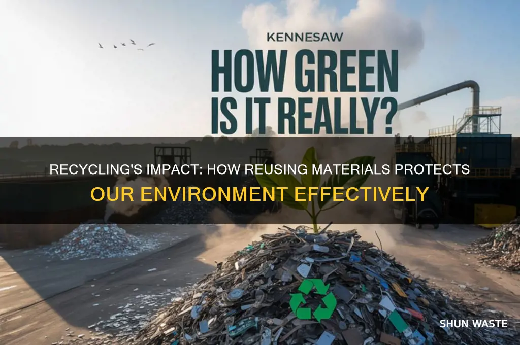Recycling's Impact: How Reusing Materials Protects Our Environment ...