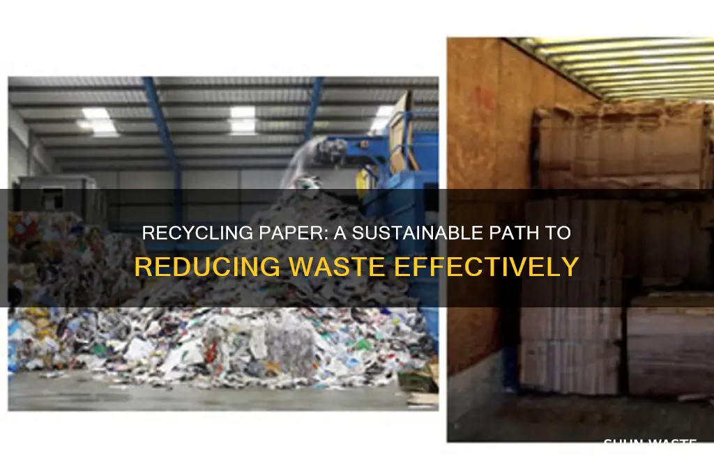 Recycling Paper: A Sustainable Path To Reducing Waste Effectively ...