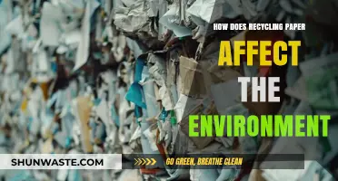 Reduce, Reuse, Recycle: Transforming Environmental Impact Through ...