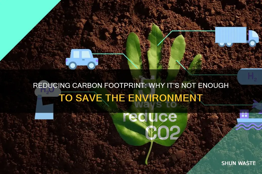 Reducing Carbon Footprint: Why It’S Not Enough To Save The Environment ...