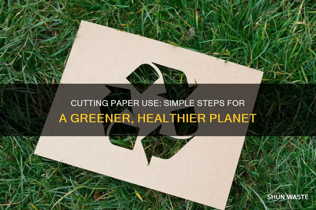 Cutting Paper Use: Simple Steps For A Greener, Healthier Planet | ShunWaste