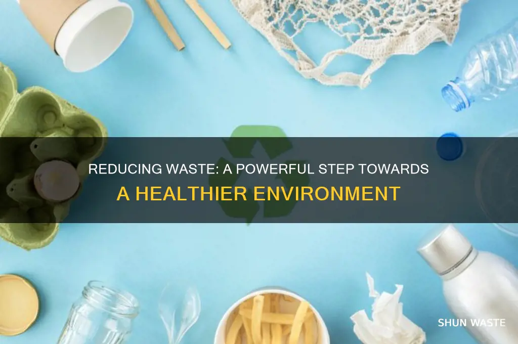 Reducing Waste: A Powerful Step Towards A Healthier Environment | ShunWaste