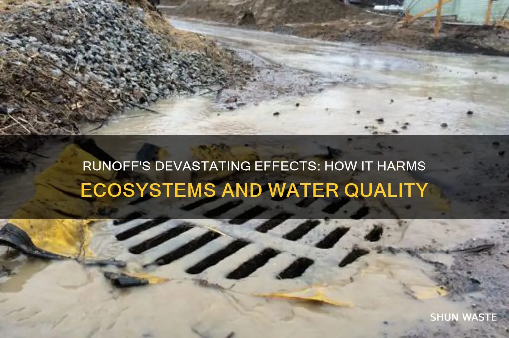 Runoff's Devastating Effects: How It Harms Ecosystems And Water Quality ...