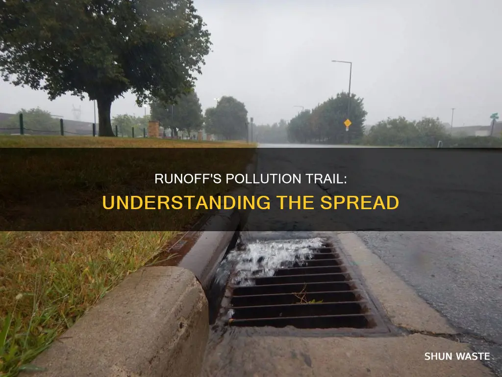 Runoff's Pollution Trail: Understanding The Spread | ShunWaste