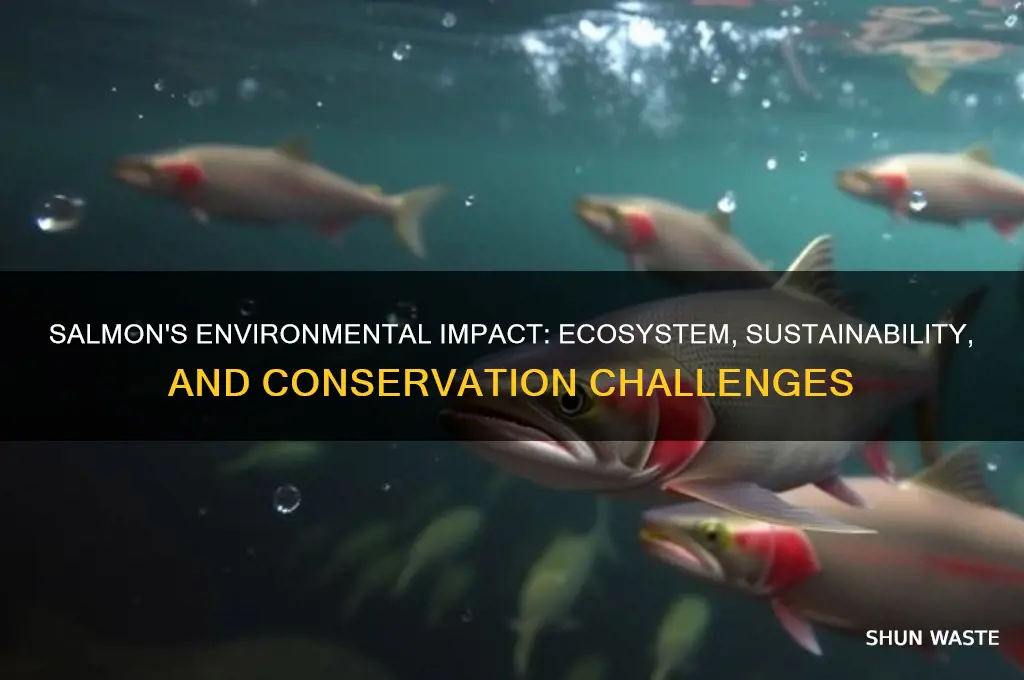 Salmon's Environmental Impact: Ecosystem, Sustainability, And ...