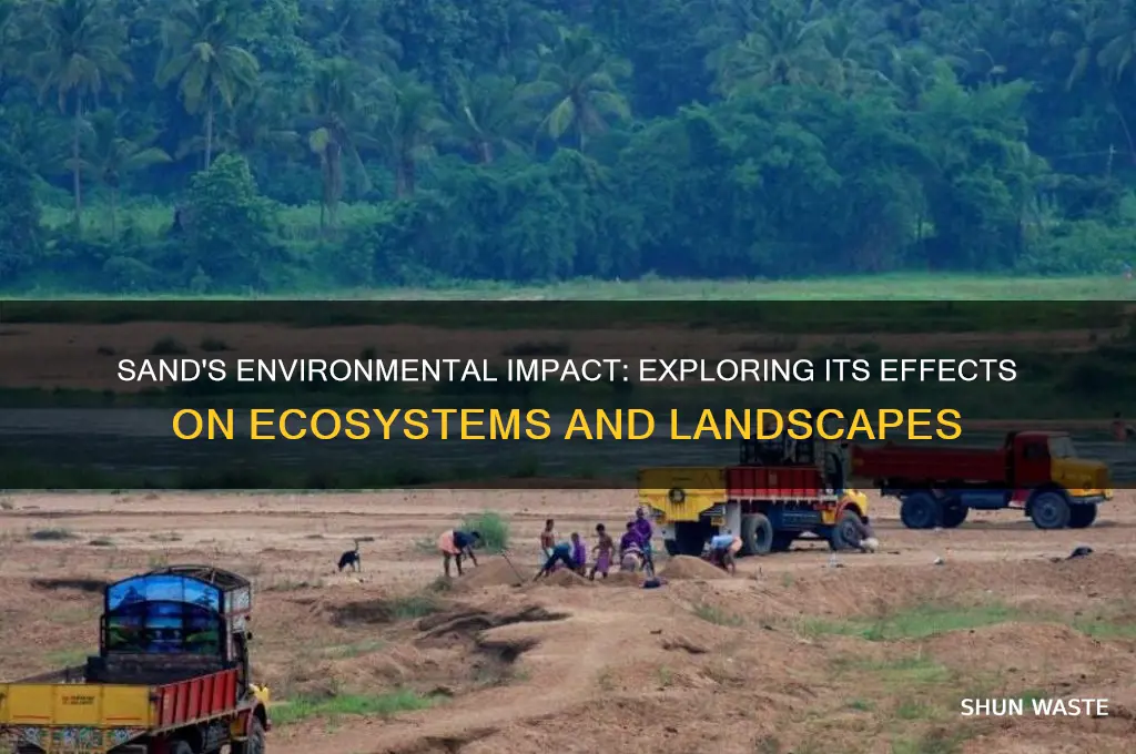 Sand's Environmental Impact: Exploring Its Effects On Ecosystems And ...