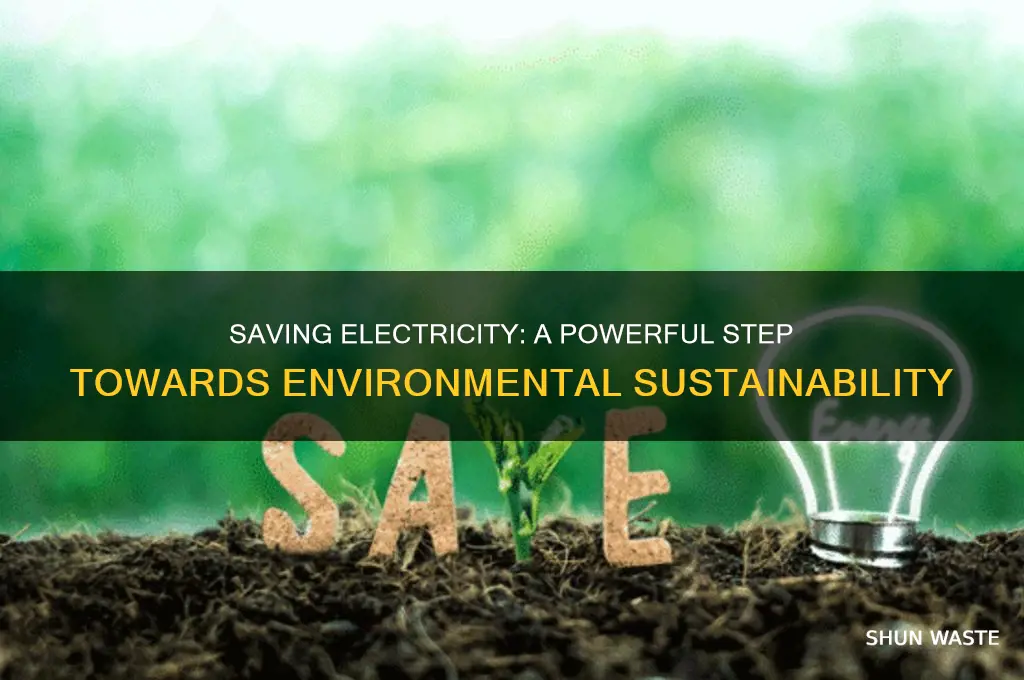 Saving Electricity: A Powerful Step Towards Environmental ...