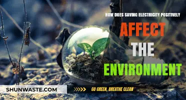 Overconsumption's Environmental Impact: Unsustainable Habits Destroying ...