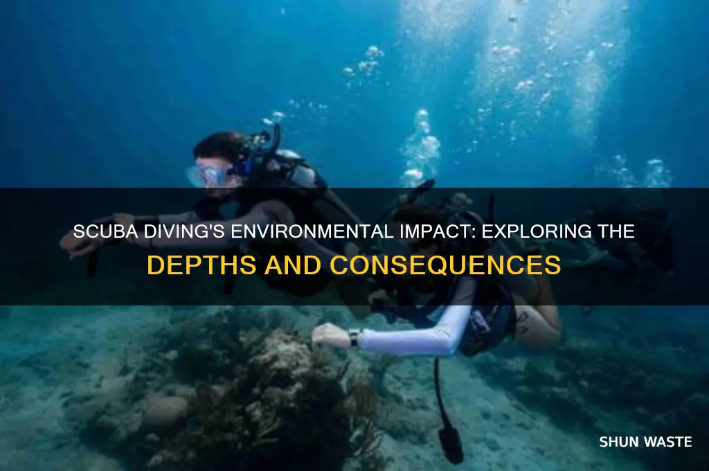 Scuba Diving's Environmental Impact: Exploring The Depths And ...