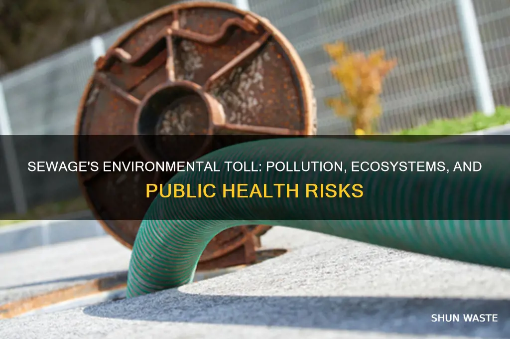Sewage's Environmental Toll: Pollution, Ecosystems, And Public Health ...