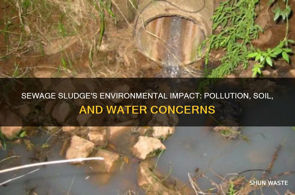 Sewage Sludge's Environmental Impact: Pollution, Soil, And Water ...