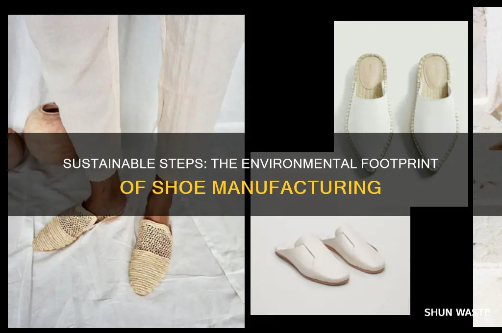 Sustainable Steps: The Environmental Footprint Of Shoe Manufacturing ...