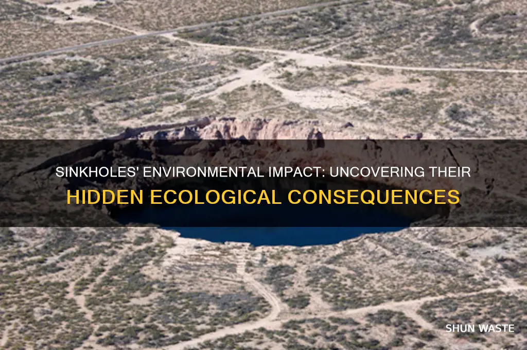 Sinkholes' Environmental Impact: Uncovering Their Hidden Ecological ...
