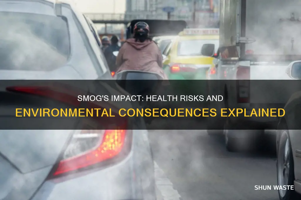 Smog's Impact: Health Risks And Environmental Consequences Explained ...