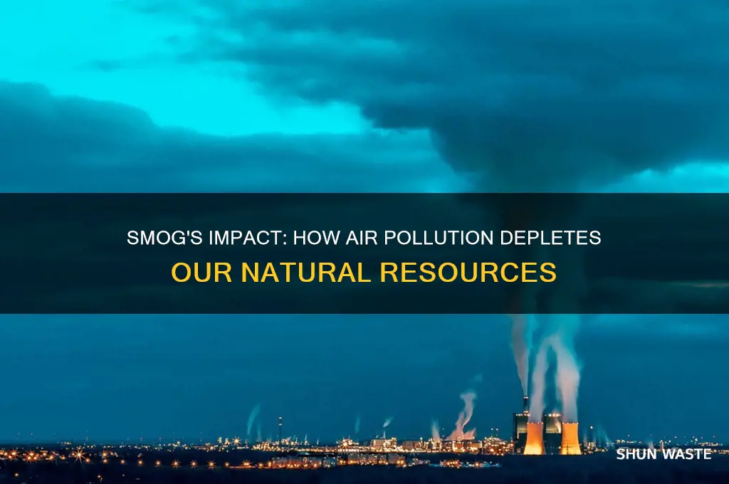 Smog's Impact: How Air Pollution Depletes Our Natural Resources | ShunWaste