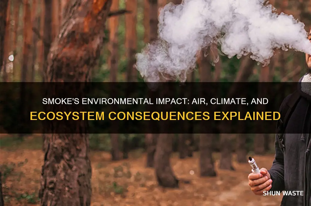 Smoke's Environmental Impact: Air, Climate, And Ecosystem Consequences ...