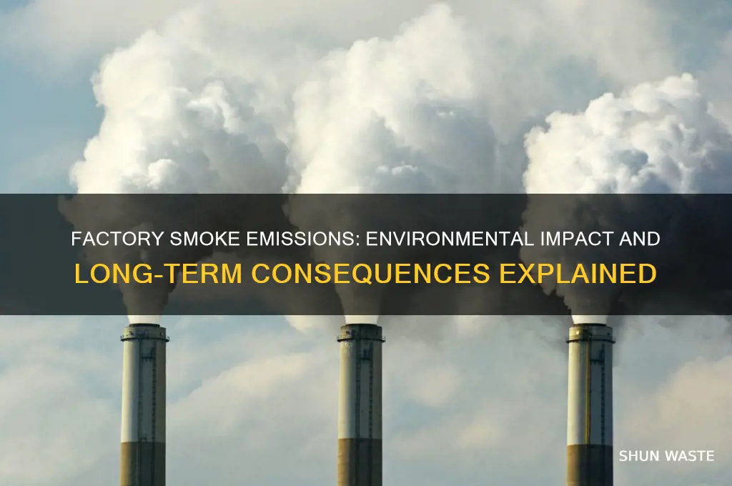 Factory Smoke Emissions: Environmental Impact And Long-Term ...