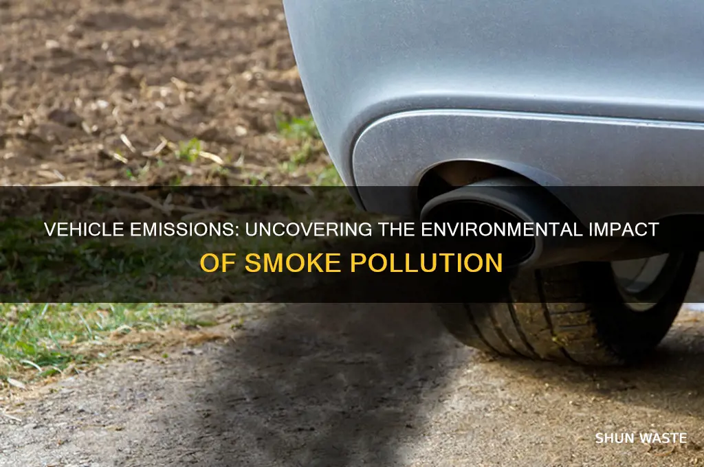 Vehicle Emissions: Uncovering The Environmental Impact Of Smoke ...