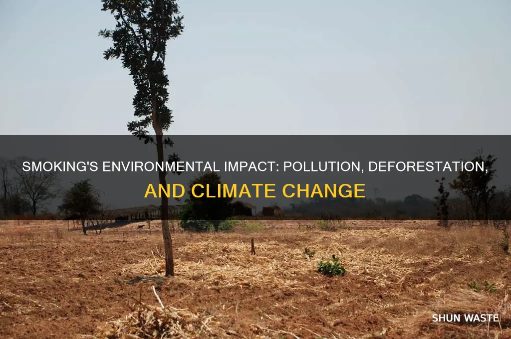 Smoking's Environmental Impact: Pollution, Deforestation, And Climate ...
