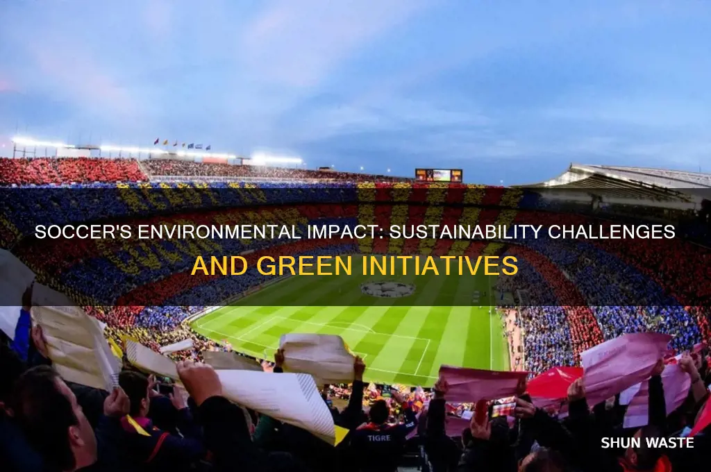 Soccer's Environmental Impact: Sustainability Challenges And Green ...