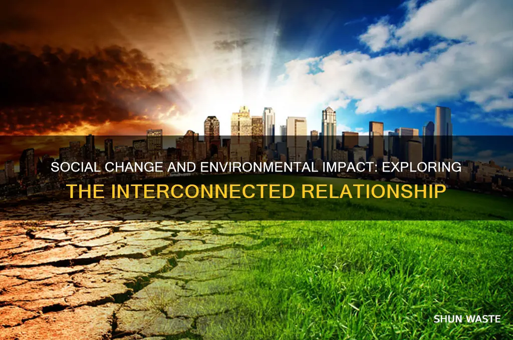 Social Change And Environmental Impact: Exploring The Interconnected ...